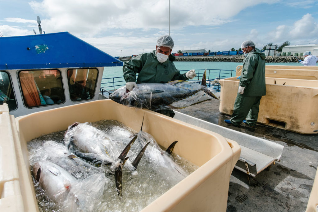 About Us | Kiribati Fish Ltd.